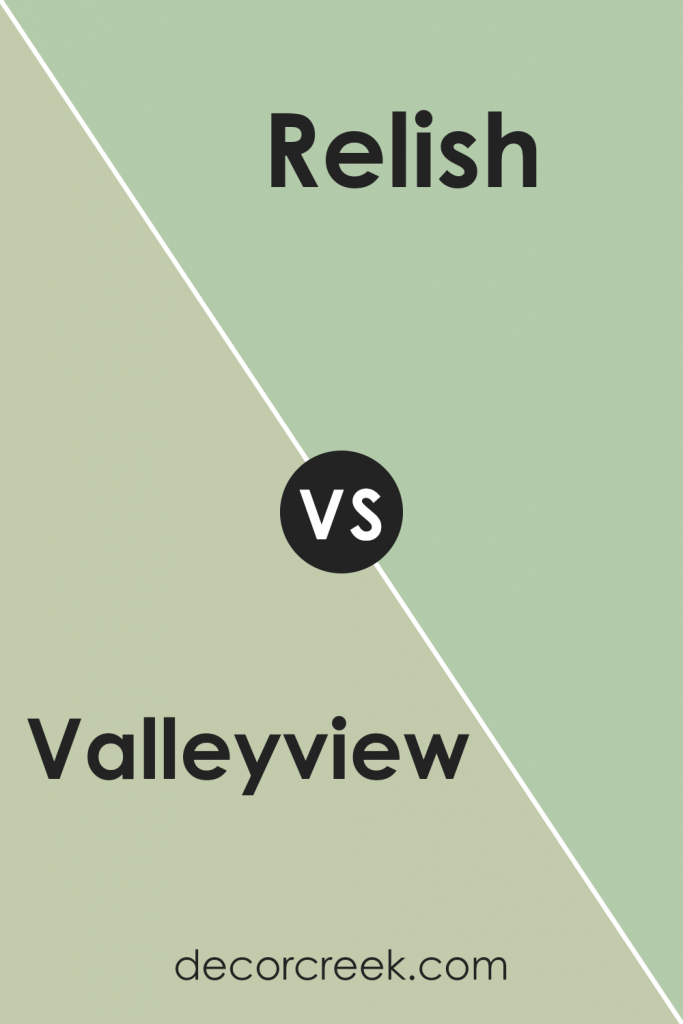 Valleyview SW 9673 Paint Color by Sherwin Williams - DecorCreek