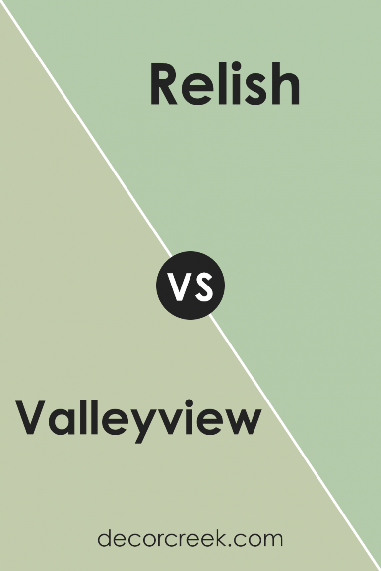 Valleyview SW 9673 Paint Color by Sherwin Williams - DecorCreek