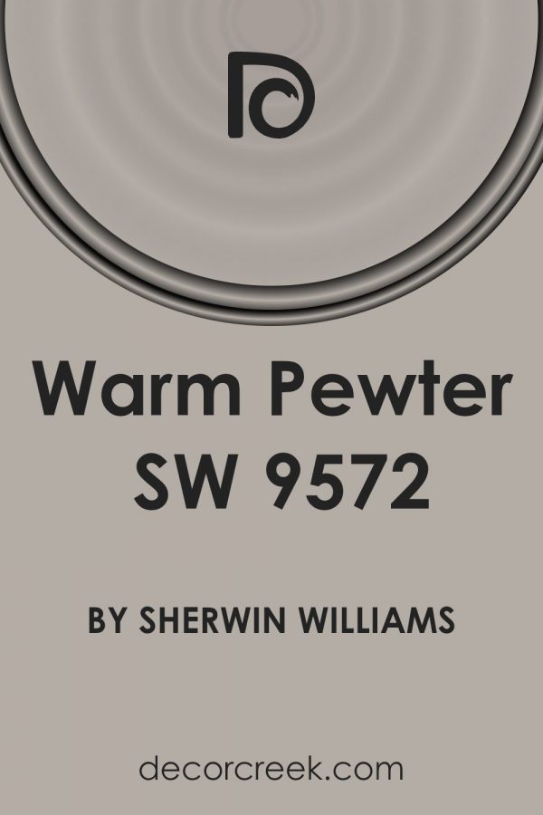 Warm Pewter SW 9572 Paint Color by Sherwin Williams - DecorCreek