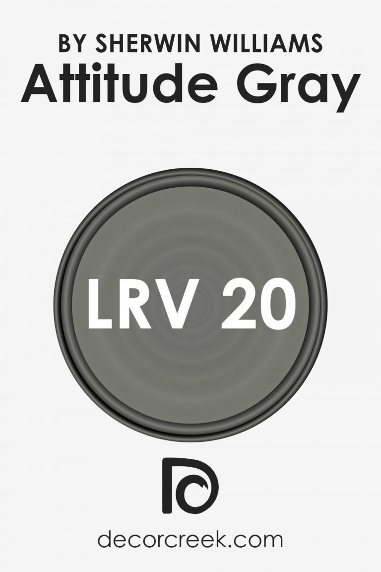 Attitude Gray SW 7060 Paint Color by Sherwin Williams - DecorCreek