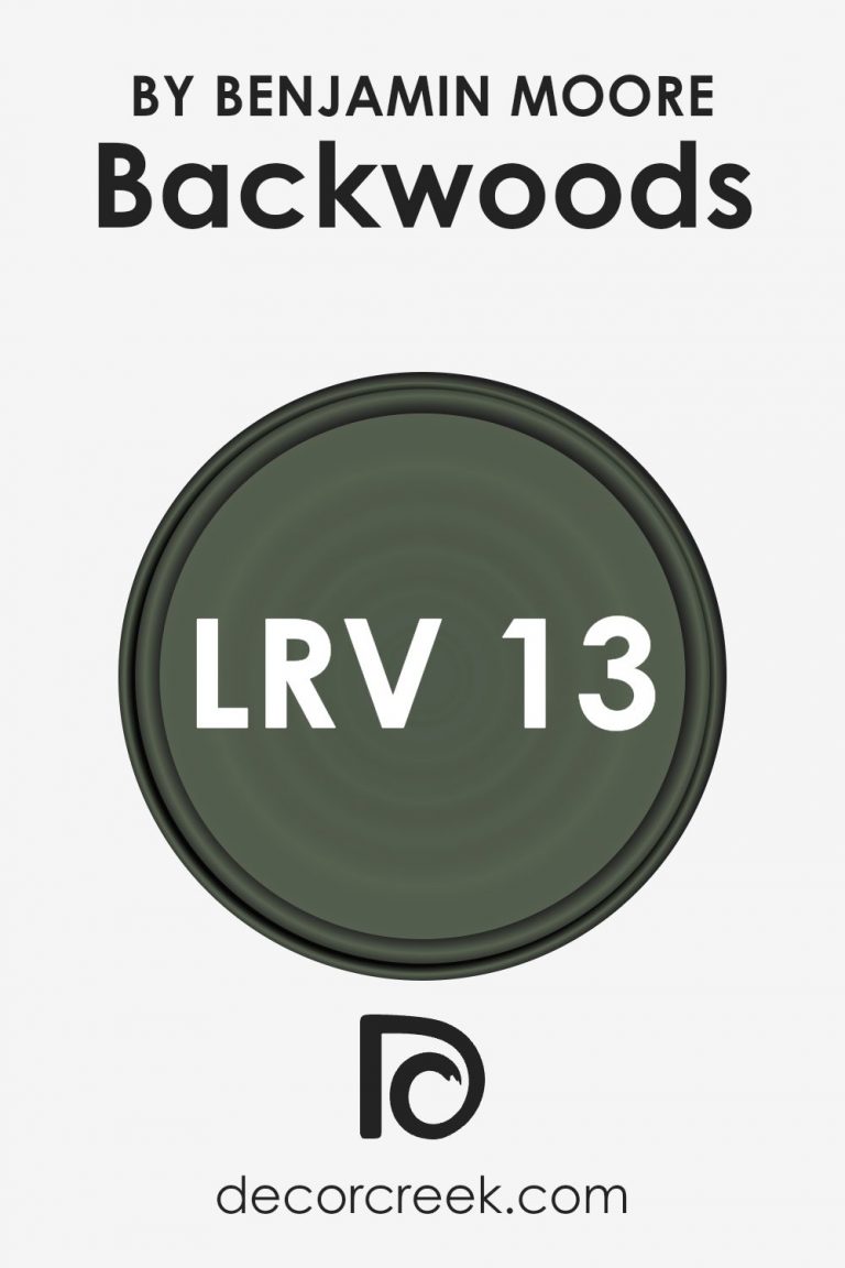 Backwoods 469 Paint Color by Benjamin Moore - DecorCreek