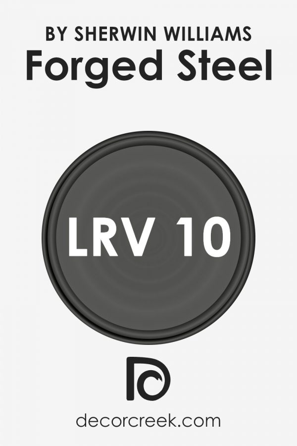 Forged Steel SW 9565 Paint Color by Sherwin Williams - DecorCreek