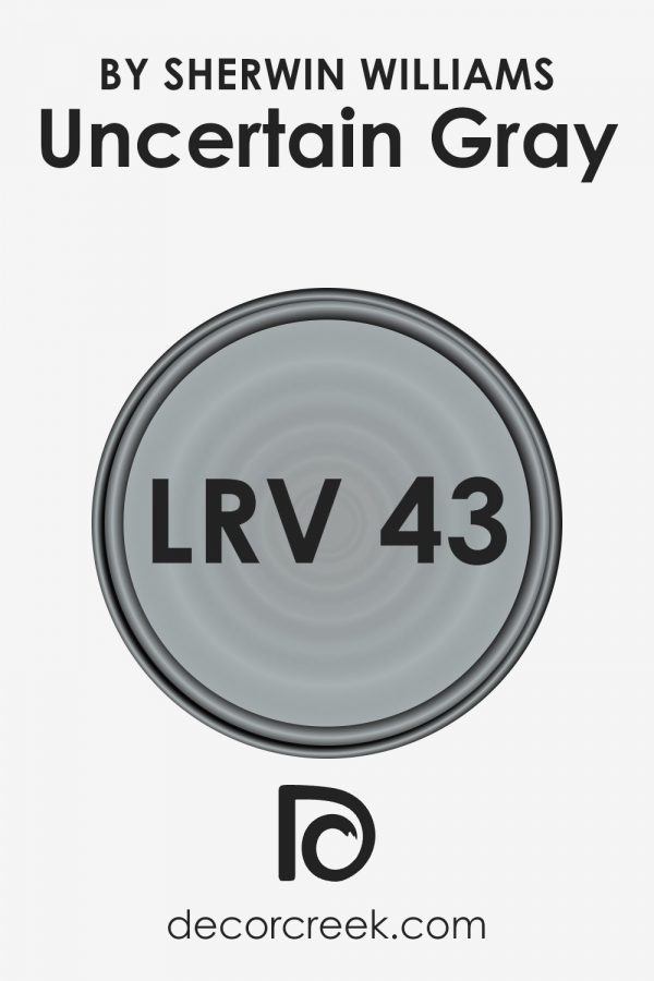 Uncertain Gray SW 6234 Paint Color by Sherwin Williams - DecorCreek