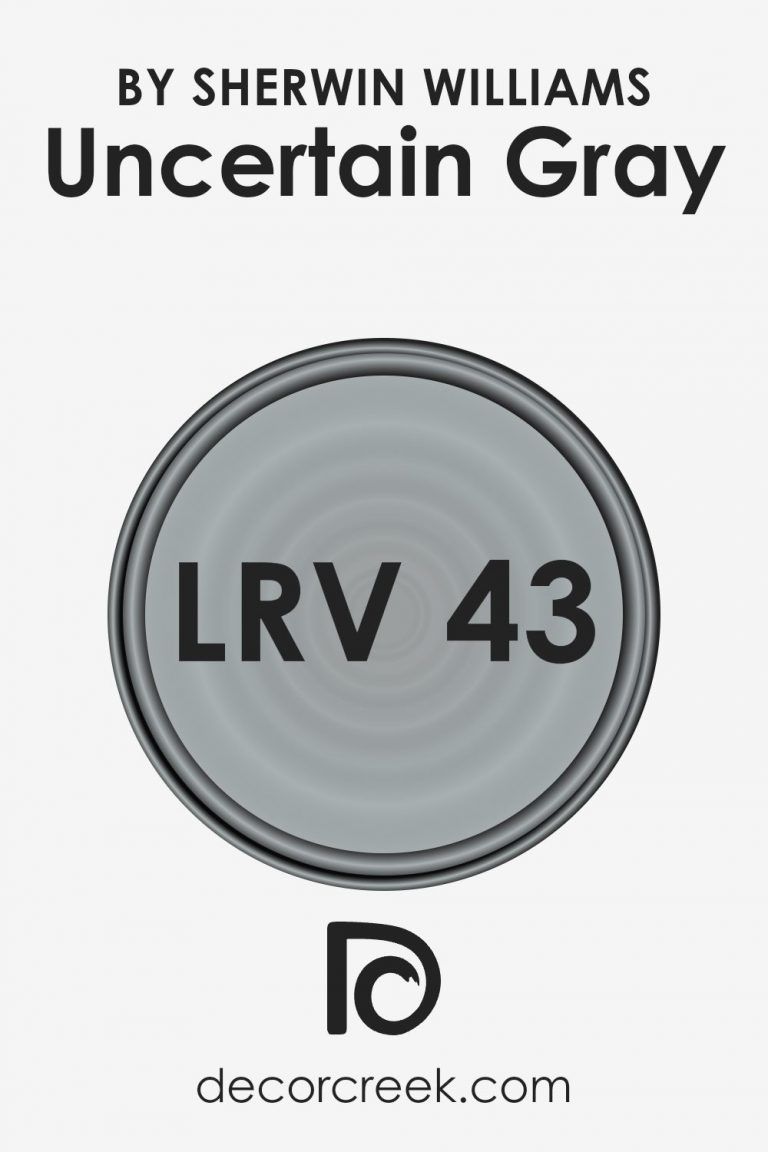 Uncertain Gray SW 6234 Paint Color by Sherwin Williams - DecorCreek