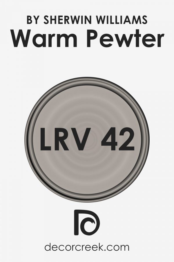 Warm Pewter SW 9572 Paint Color by Sherwin Williams - DecorCreek