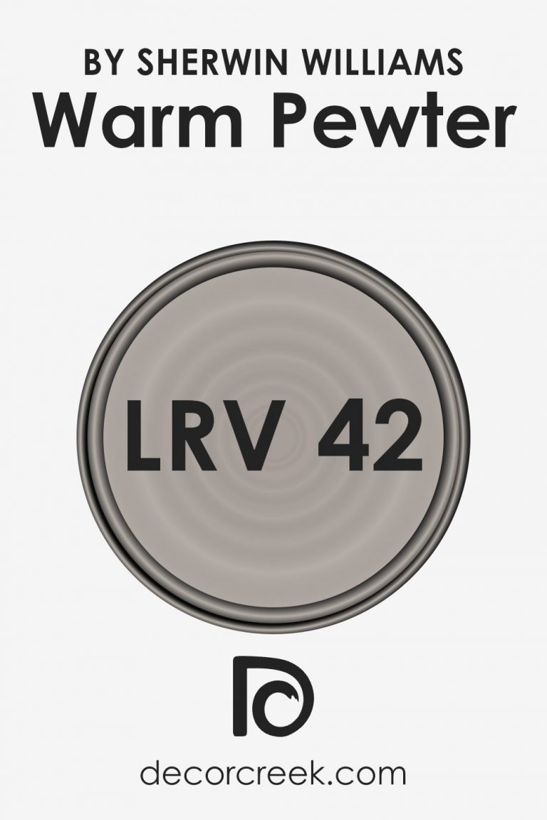 Warm Pewter SW 9572 Paint Color by Sherwin Williams - DecorCreek