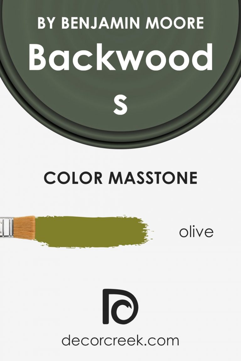 Backwoods 469 Paint Color by Benjamin Moore - DecorCreek