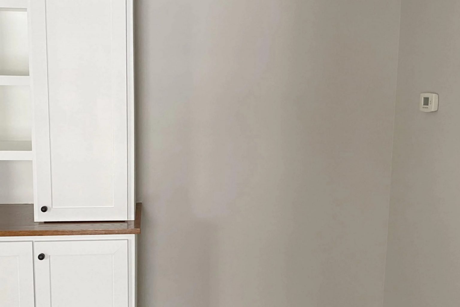 Mercurial SW 9550 Paint Color by Sherwin Williams - DecorCreek