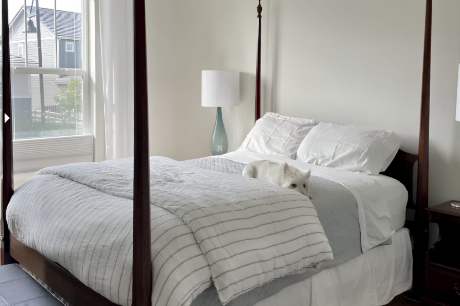 Mortar SW 9584 Paint Color by Sherwin Williams - DecorCreek