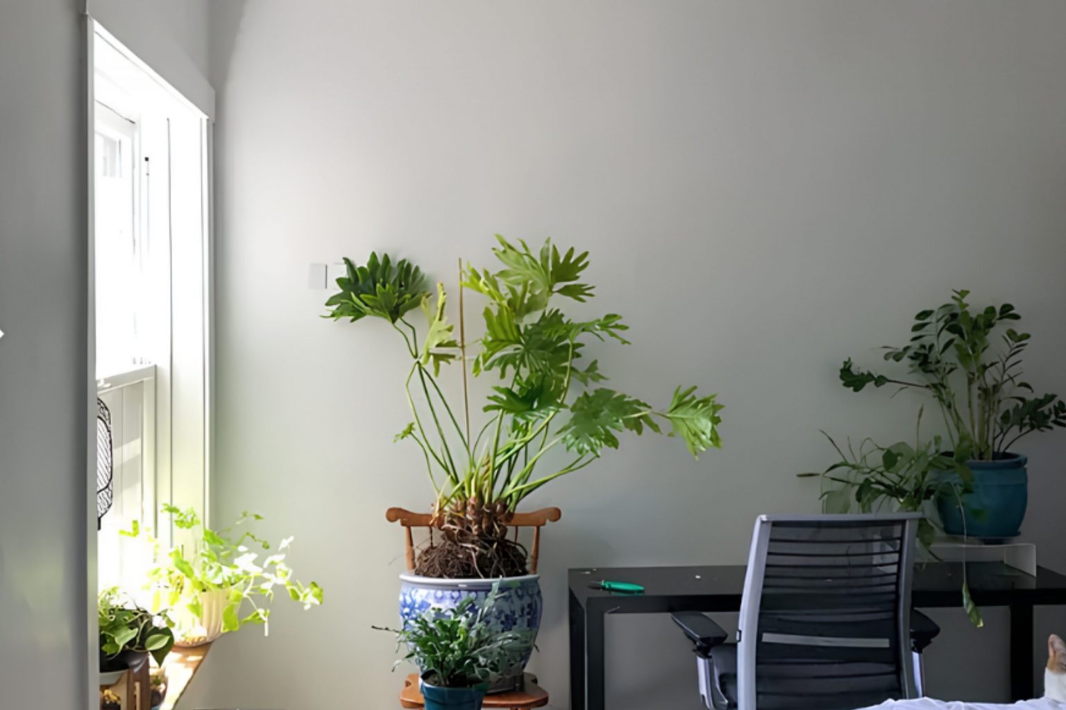 Site White SW 7070 Paint Color by Sherwin Williams - DecorCreek