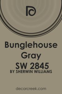 Bunglehouse Gray SW 2845 Paint Color by Sherwin Williams - DecorCreek