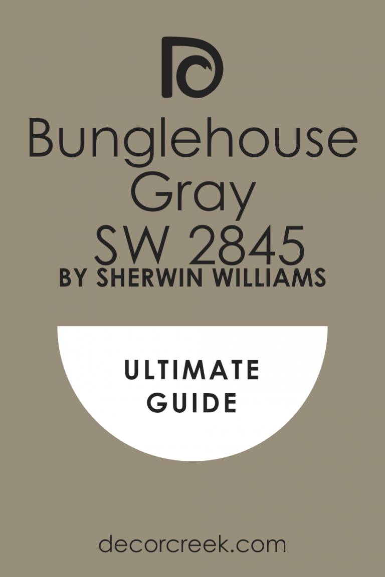 Bunglehouse Gray SW 2845 Paint Color by Sherwin Williams - DecorCreek