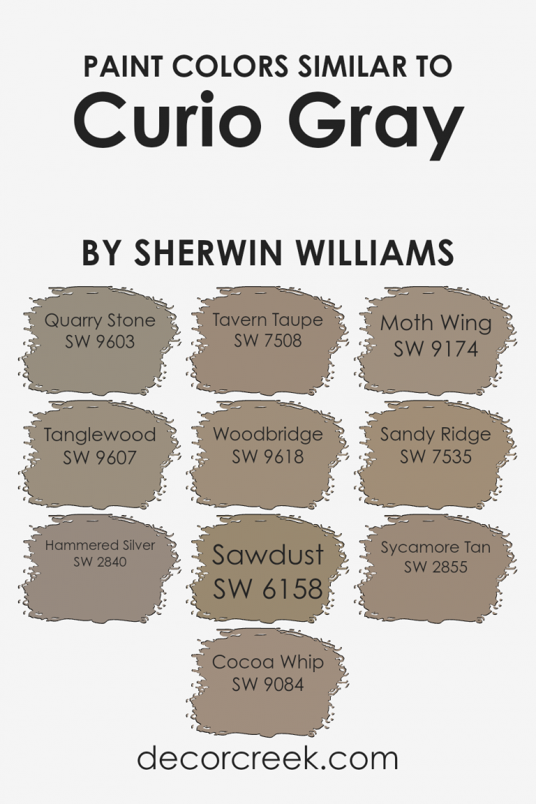 Curio Gray SW 0024 Paint Color by Sherwin Williams - DecorCreek