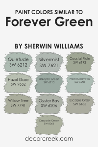 Forever Green SW 9653 Paint Color by Sherwin Williams - DecorCreek