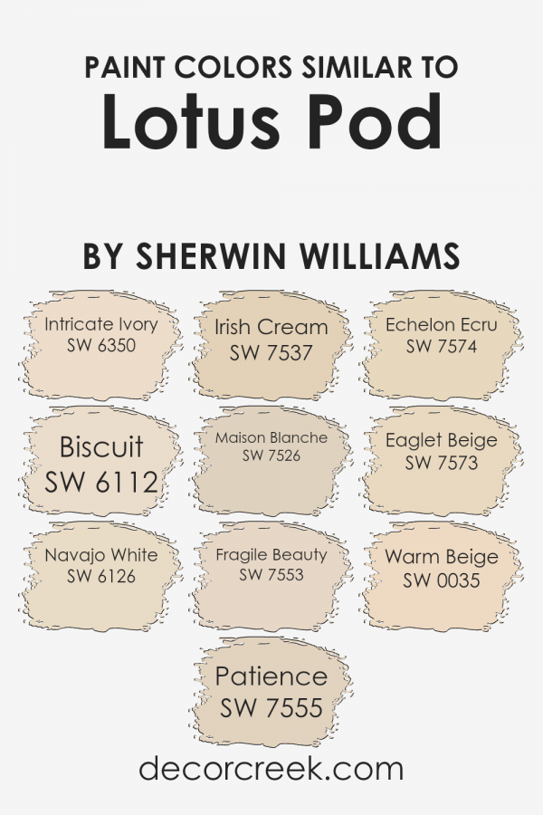 Lotus Pod SW 7572 Paint Color by Sherwin Williams - DecorCreek