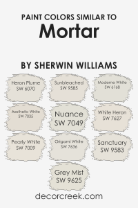 Mortar SW 9584 Paint Color by Sherwin Williams - DecorCreek