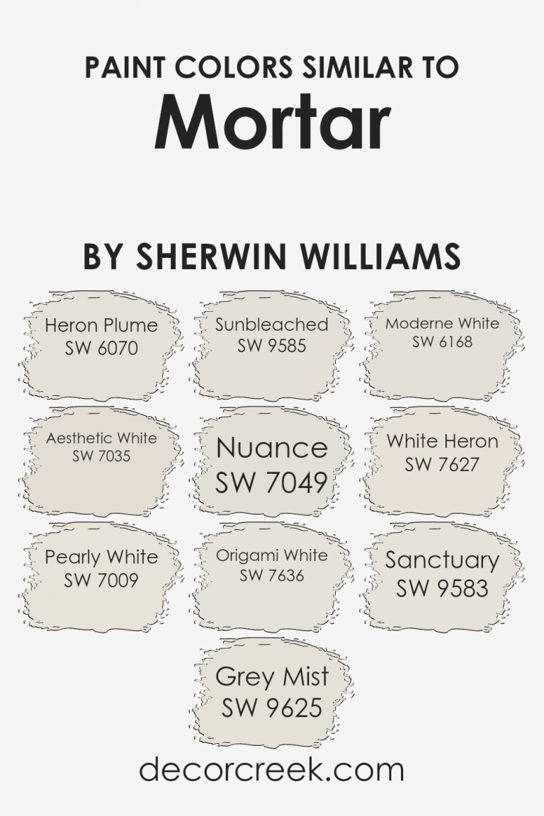 Mortar SW 9584 Paint Color by Sherwin Williams - DecorCreek
