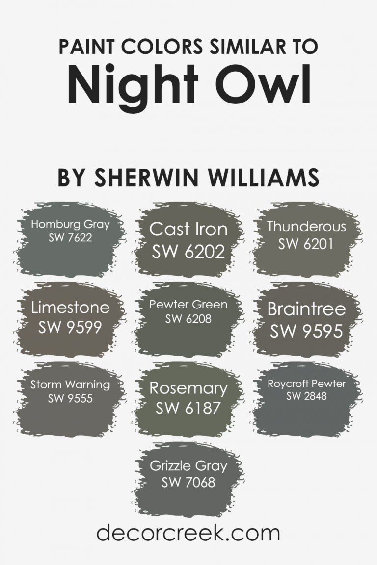 Night Owl SW 7061 Paint Color by Sherwin Williams - DecorCreek
