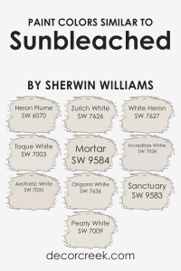 Sunbleached SW 9585 Paint Color by Sherwin Williams - DecorCreek