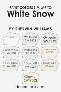 White Snow SW 9541 Paint Color by Sherwin Williams - DecorCreek