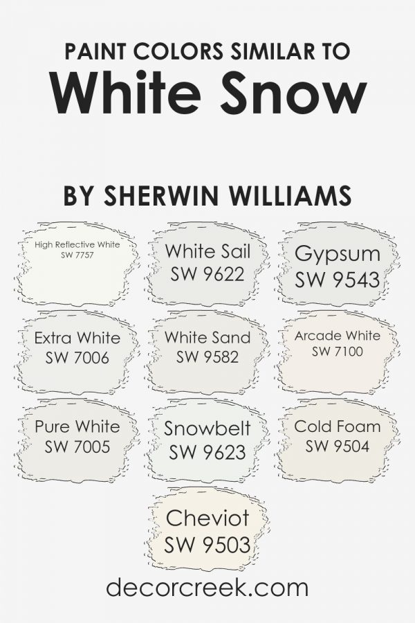 White Snow SW 9541 Paint Color by Sherwin Williams - DecorCreek