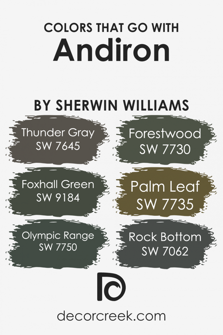 Andiron SW 6174 Paint Color by Sherwin Williams - DecorCreek