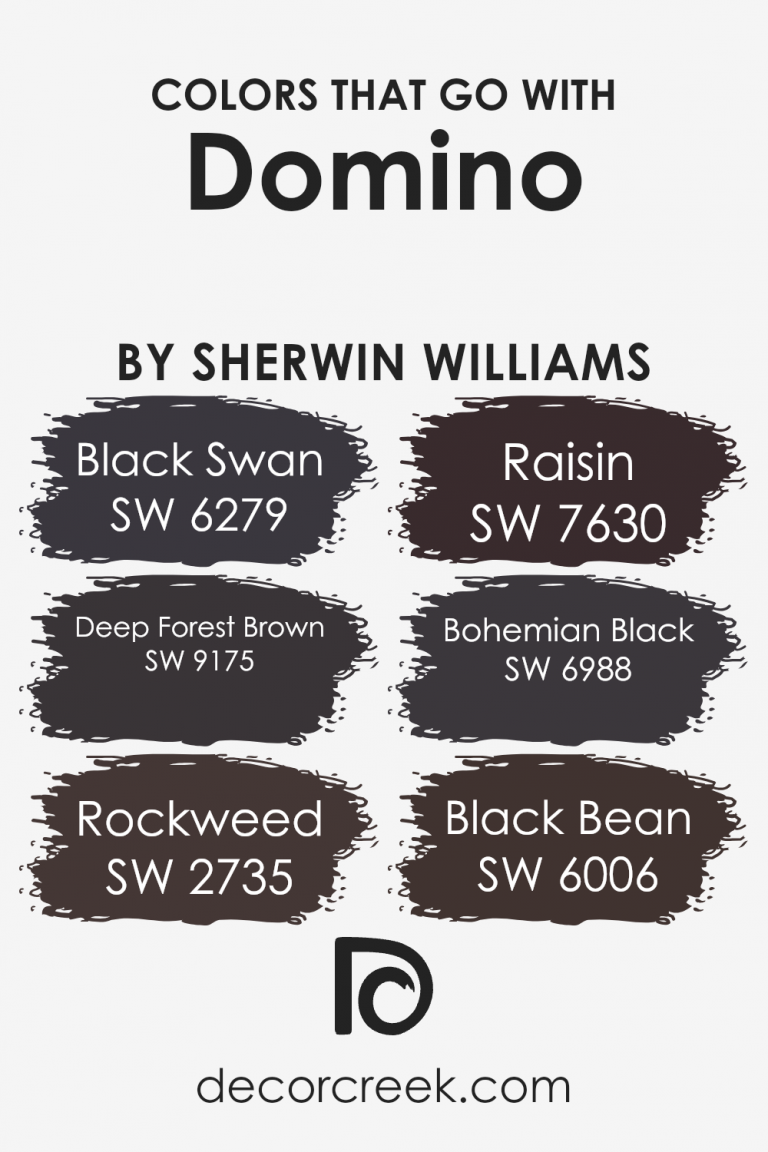 Domino SW 6989 Paint Color by Sherwin Williams - DecorCreek