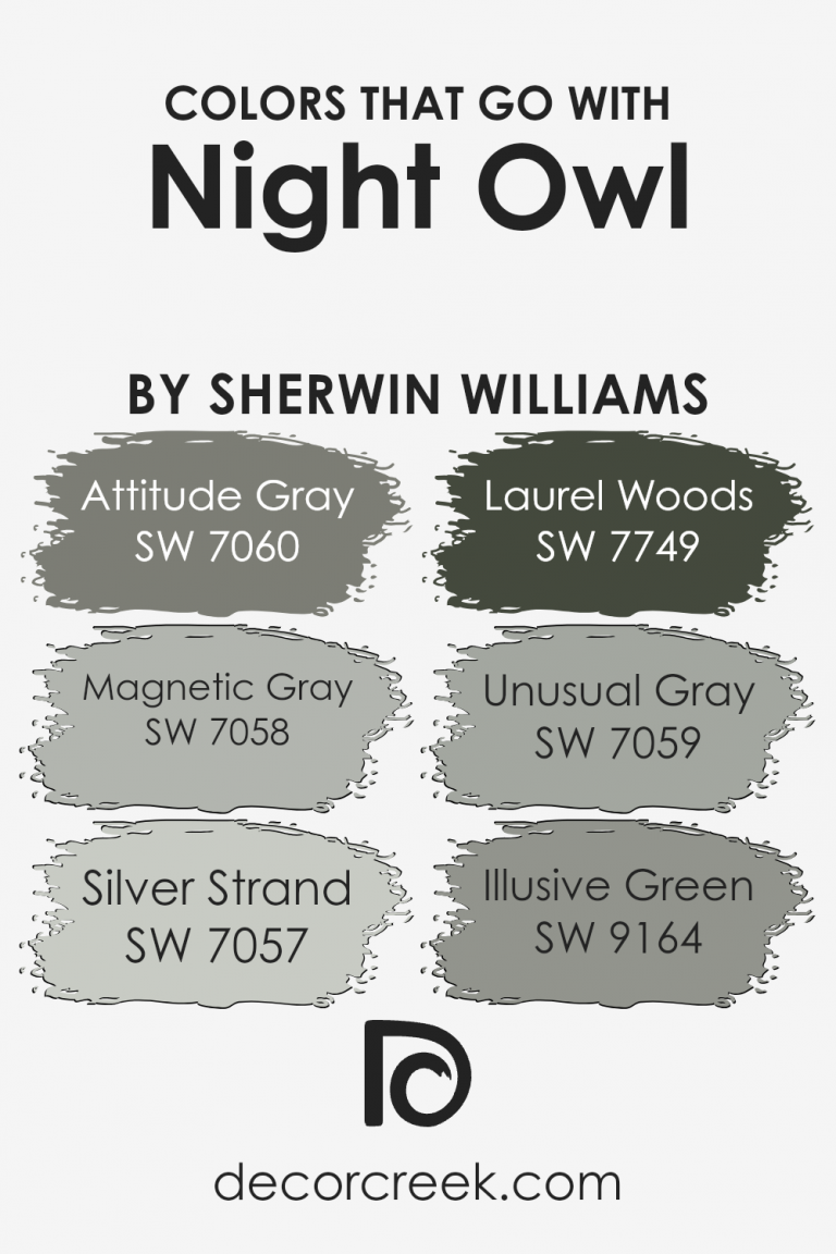 Night Owl SW 7061 Paint Color by Sherwin Williams - DecorCreek