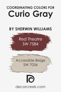 Curio Gray SW 0024 Paint Color by Sherwin Williams - DecorCreek