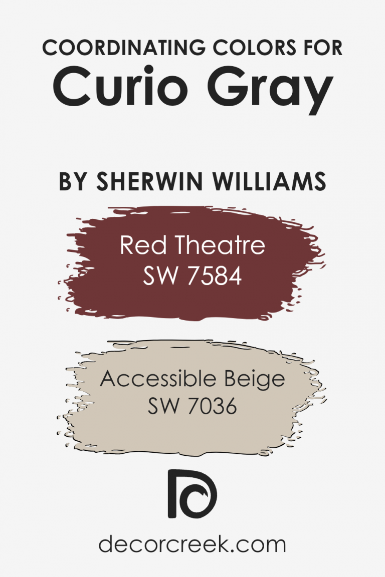 Curio Gray SW 0024 Paint Color by Sherwin Williams - DecorCreek