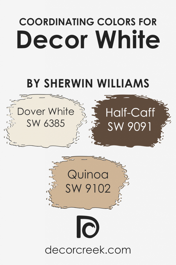 Decor White SW 7559 Paint Color by Sherwin Williams - DecorCreek