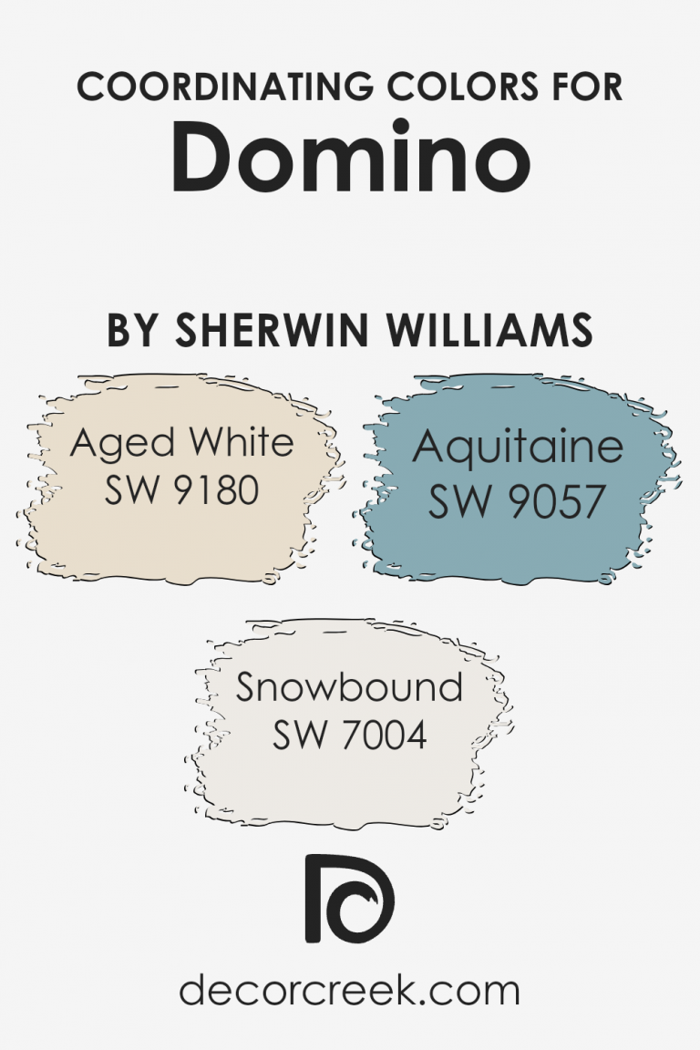 Domino SW 6989 Paint Color by Sherwin Williams - DecorCreek