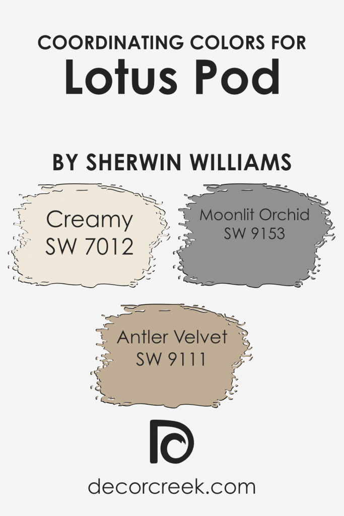 Lotus Pod SW 7572 Paint Color by Sherwin Williams - DecorCreek
