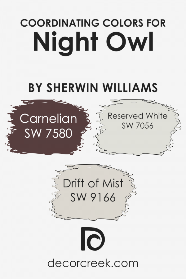 Night Owl SW 7061 Paint Color by Sherwin Williams - DecorCreek
