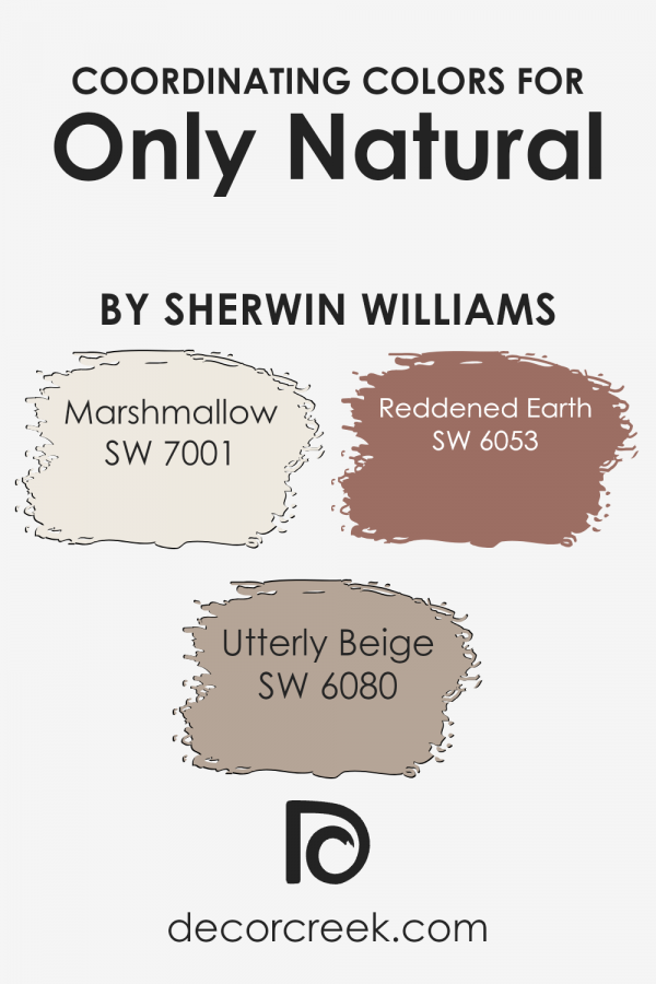 Only Natural SW 7596 Paint Color by Sherwin Williams - DecorCreek