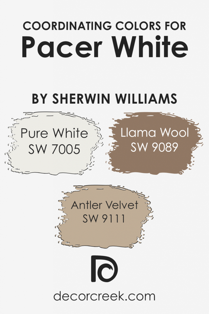 Pacer White SW 6098 Paint Color by Sherwin Williams - DecorCreek