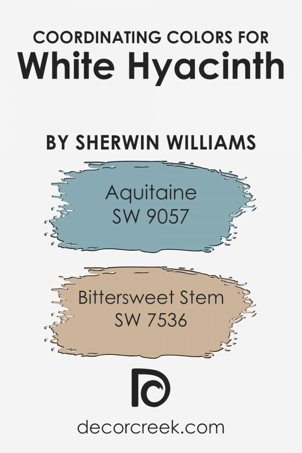 White Hyacinth SW 0046 Paint Color by Sherwin Williams - DecorCreek