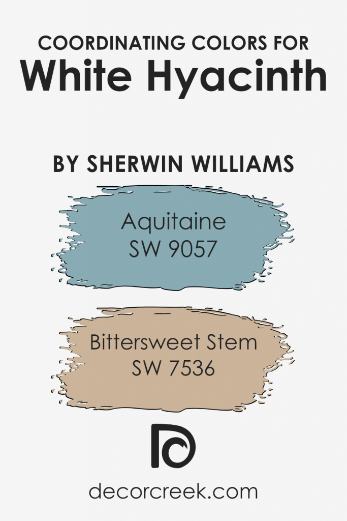White Hyacinth SW 0046 Paint Color by Sherwin Williams - DecorCreek