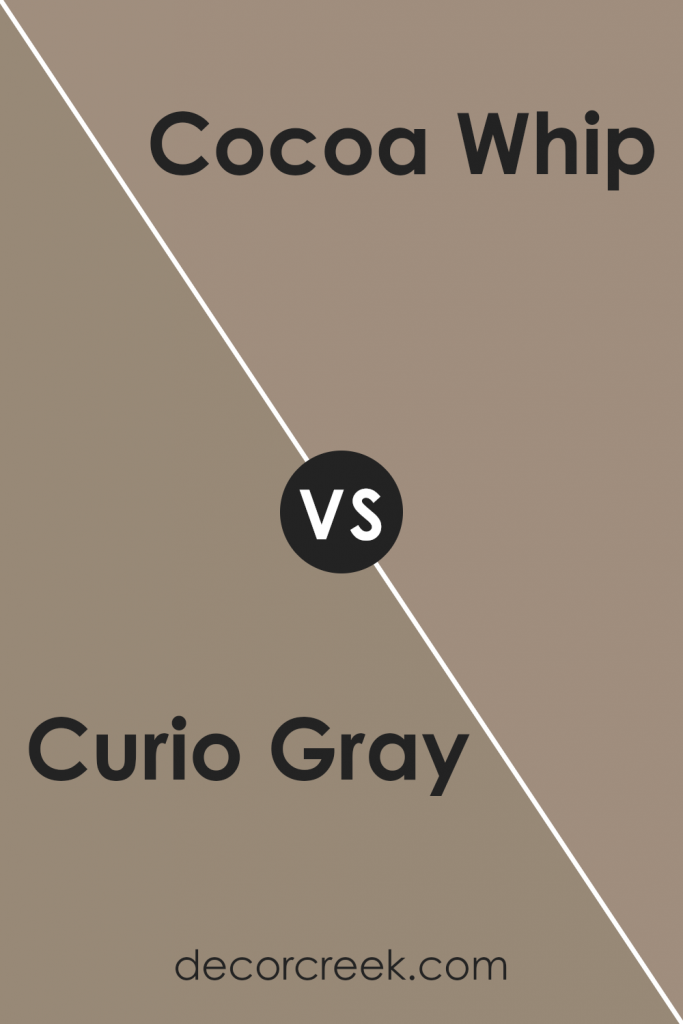 Curio Gray SW 0024 Paint Color by Sherwin Williams - DecorCreek