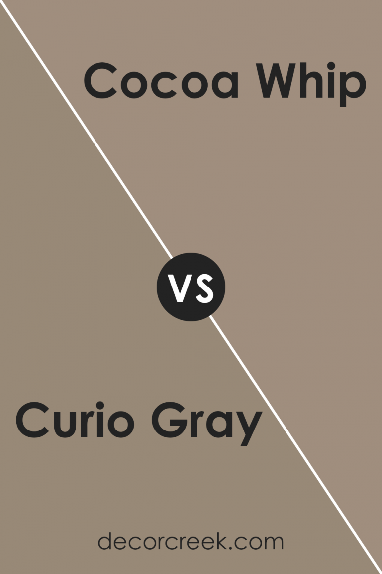 Curio Gray SW 0024 Paint Color by Sherwin Williams - DecorCreek