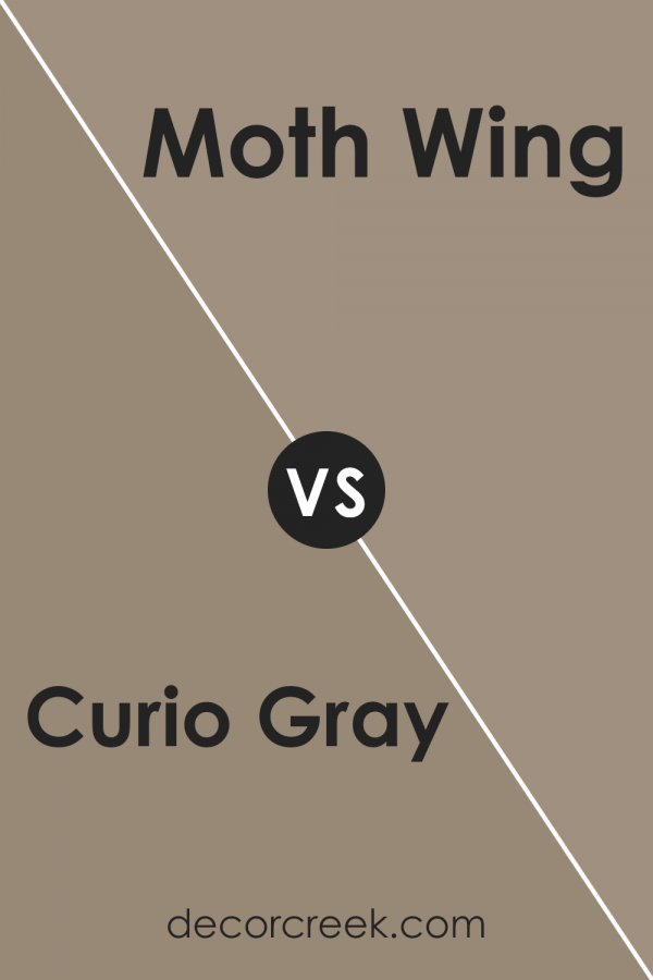 Curio Gray SW 0024 Paint Color by Sherwin Williams - DecorCreek