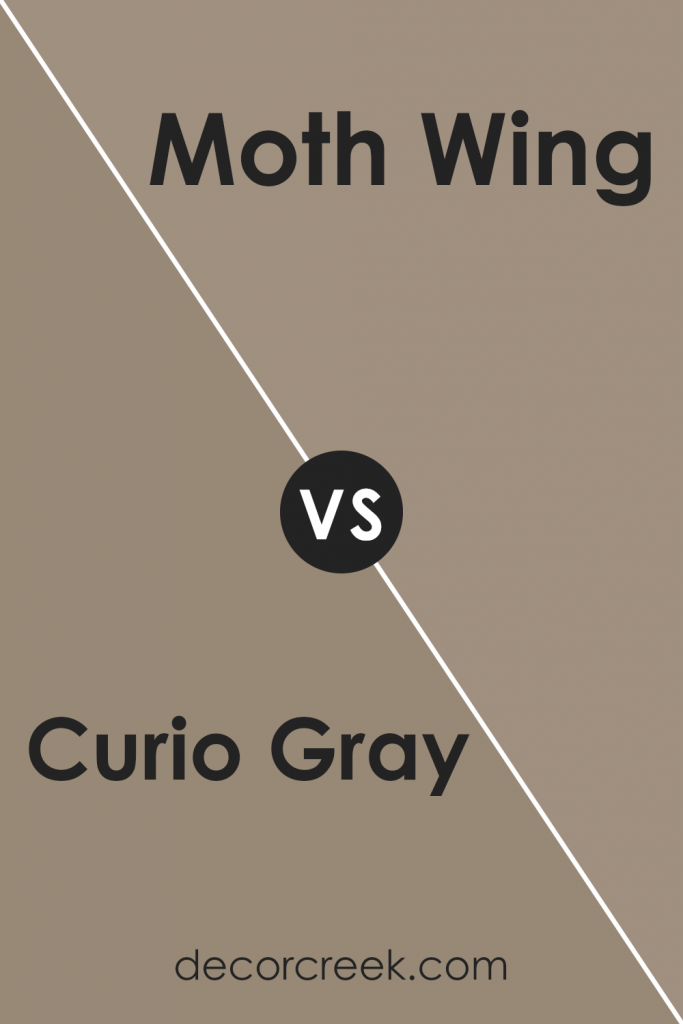 Curio Gray SW 0024 Paint Color by Sherwin Williams - DecorCreek