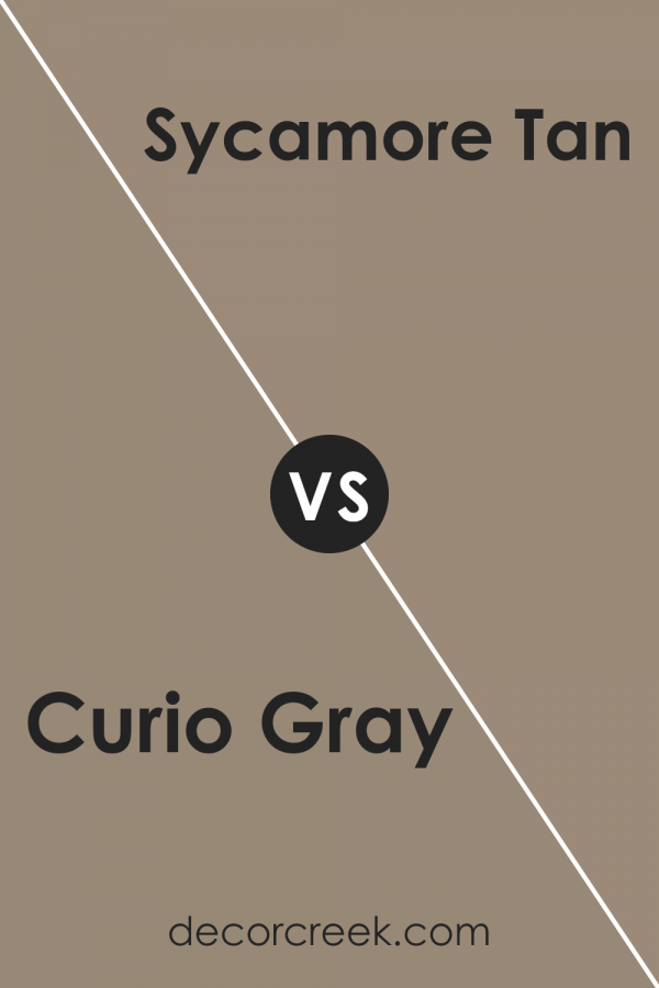 Curio Gray SW 0024 Paint Color by Sherwin Williams - DecorCreek