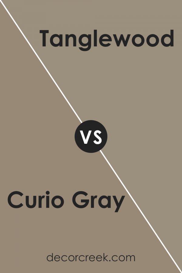 Curio Gray SW 0024 Paint Color by Sherwin Williams - DecorCreek