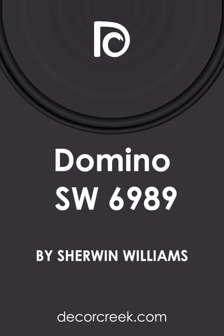 Domino SW 6989 Paint Color by Sherwin Williams - DecorCreek