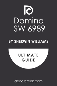 Domino SW 6989 Paint Color by Sherwin Williams - DecorCreek