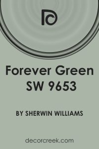 Forever Green SW 9653 Paint Color by Sherwin Williams - DecorCreek