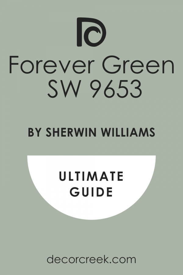 Forever Green SW 9653 Paint Color by Sherwin Williams - DecorCreek