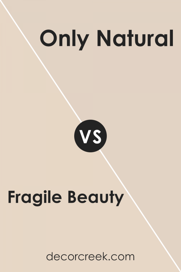Fragile Beauty SW 7553 Paint Color by Sherwin Williams - DecorCreek