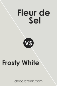 Frosty White SW 6196 Paint Color by Sherwin Williams - DecorCreek